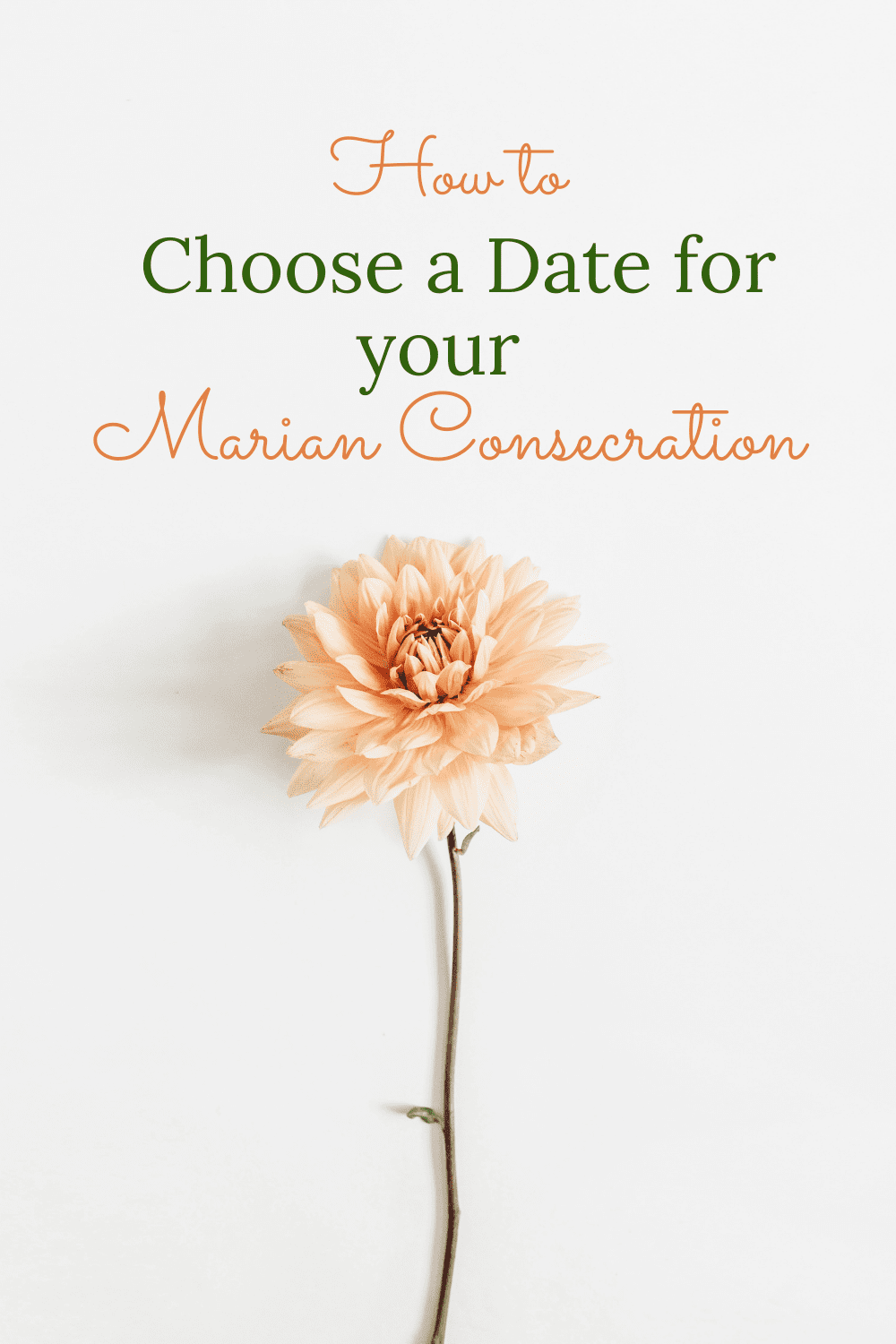How to Choose a Date for Your Marian Consecration